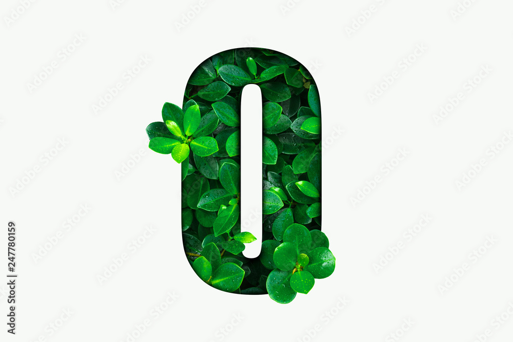 Nature concept alphabet of green leaves in number zero shape Stock ...
