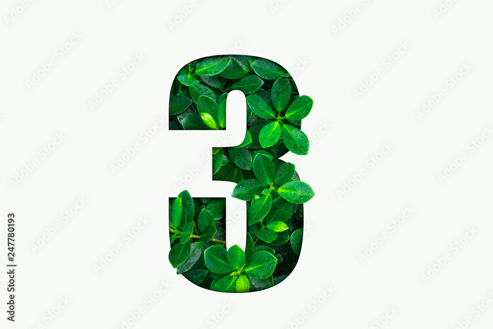 Things With Three Green Leaves