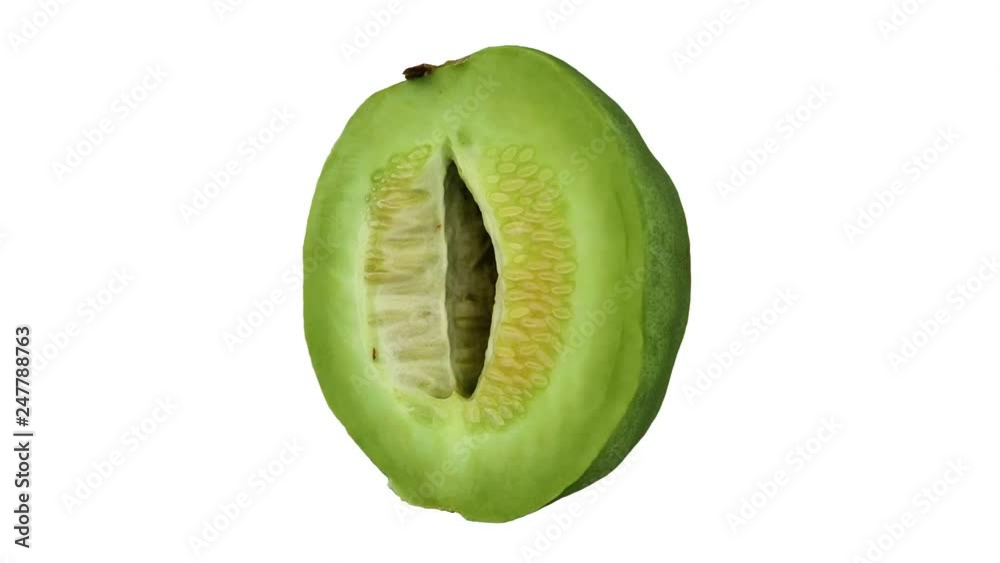 Realistic render of a rotating half unripe melon (for pickling) on ...