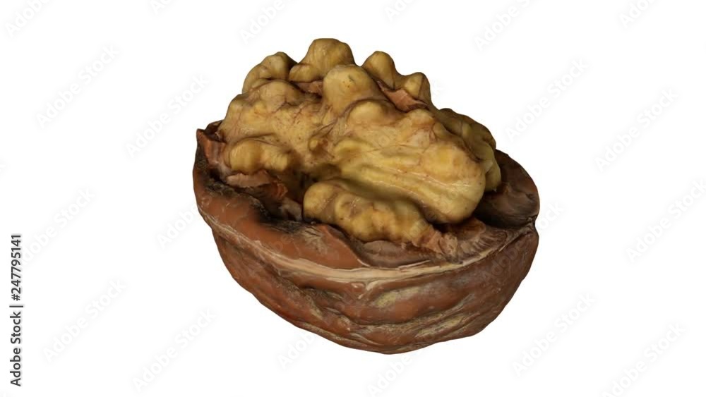 Vidéo Stock Realistic render of a rotating cracked walnut (showing the ...