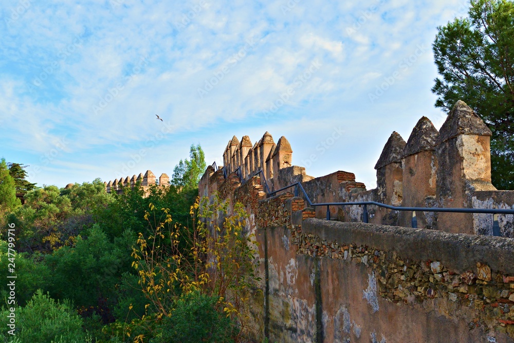 veduta della muraglia del castello di Gibralfaro edificato nel XIV ...