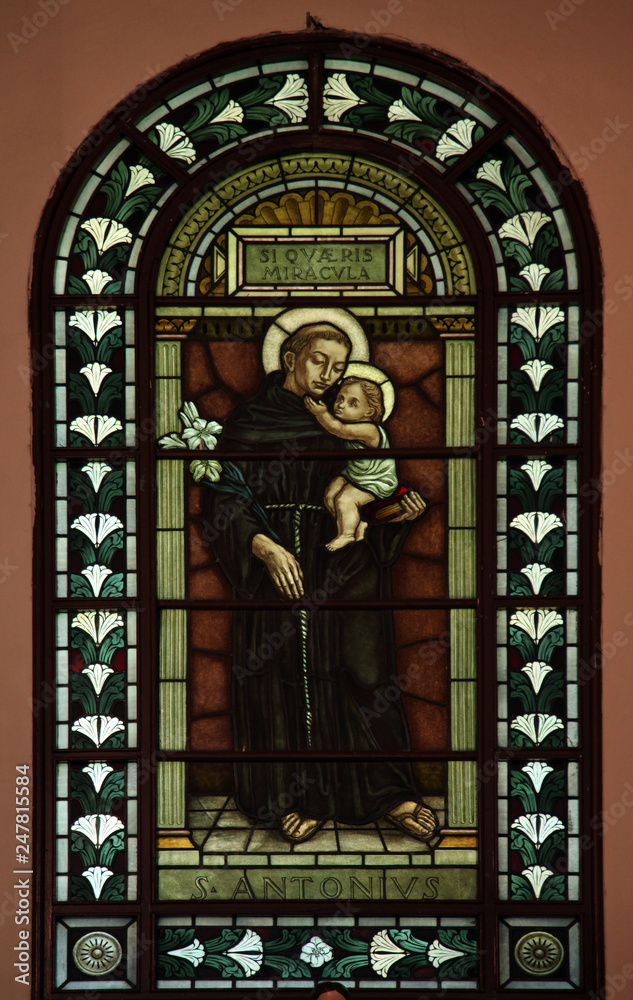 Saint Anthony of Padua, Stained glass in Catholic church of Saint ...