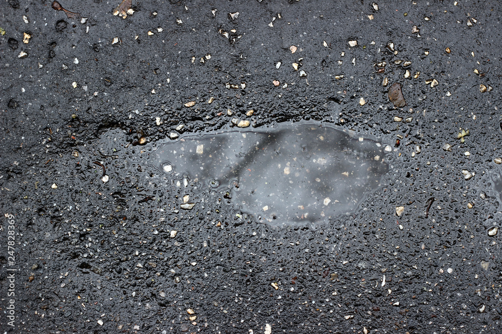 Wet asphalt puddle water pavement sidewalk surface texture Stock Photo ...