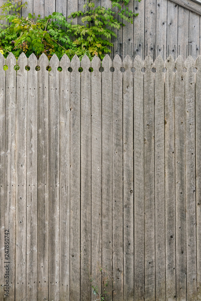 Colonial gothic or french gothic picket tops, picket fence pattern ...