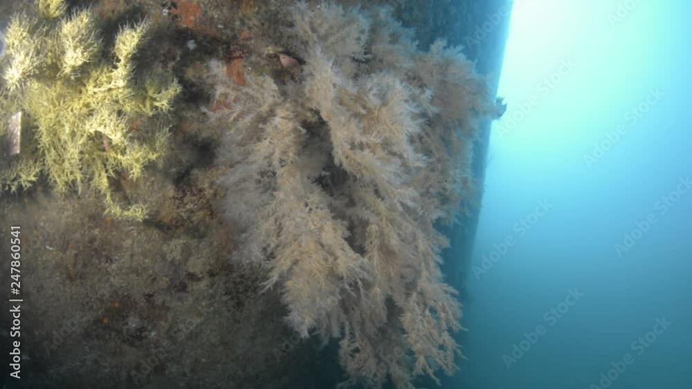 Shipwreck, reefs of Sea of Cortez, Pacific ocean. Isla Espiritu Santo ...