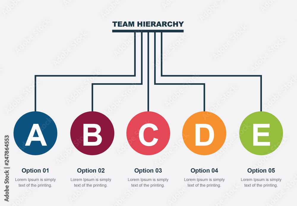 Team Hierarchy Infographic Layout Stock Template | Adobe Stock