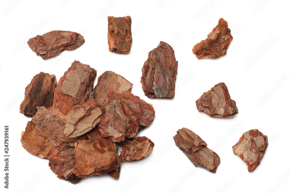 Tree bark pieces isolated on white background. top view Stock Photo ...