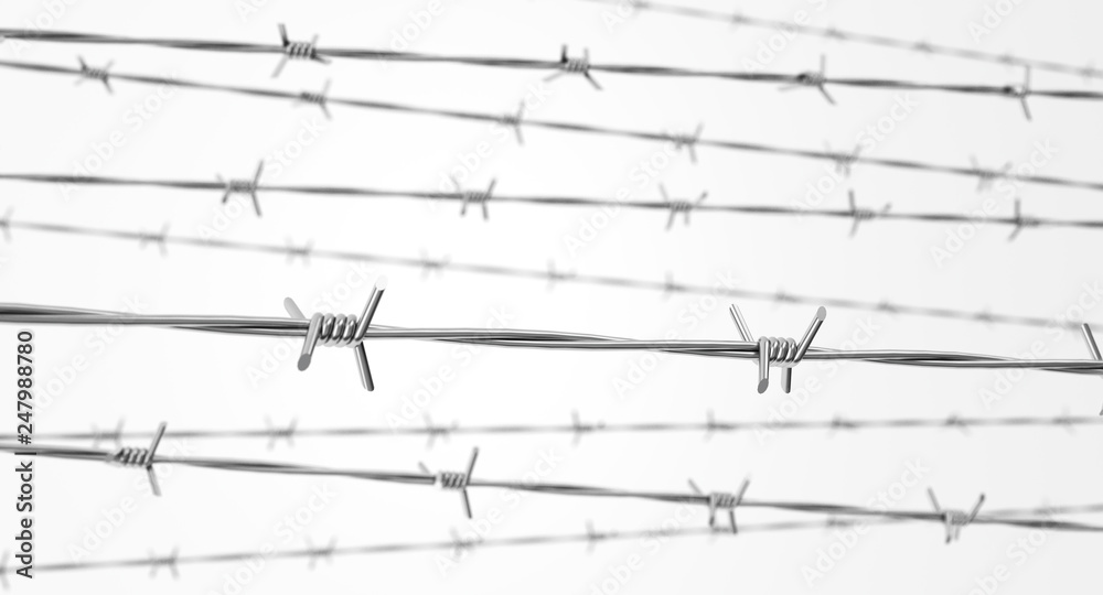 Barbed wire rows with dof effect on a white background. 3d render Stock ...