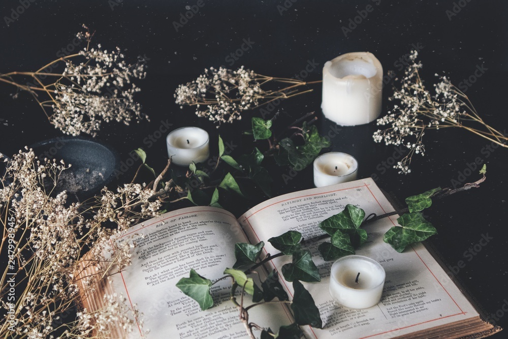 Vintage Books Tumblr