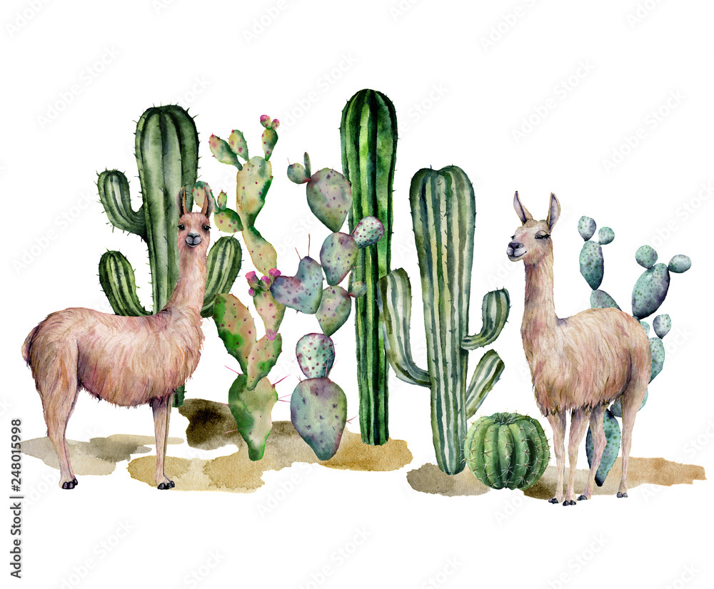 Watercolor card with llama and cacti. Hand painted beautiful ...