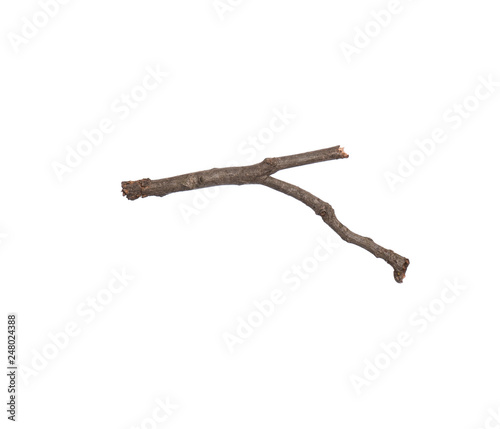 Tree Branch Stick
