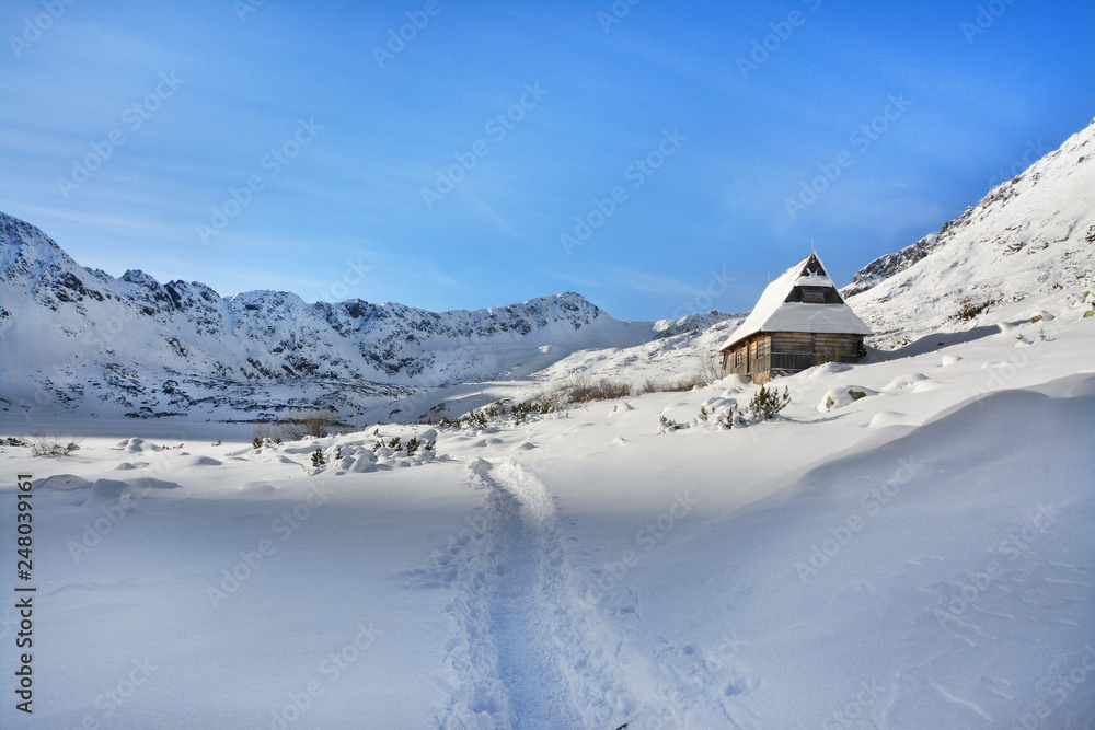 Piękna zima w górach, Tatry Polska wall mural wallpaper | Muraledesign.com