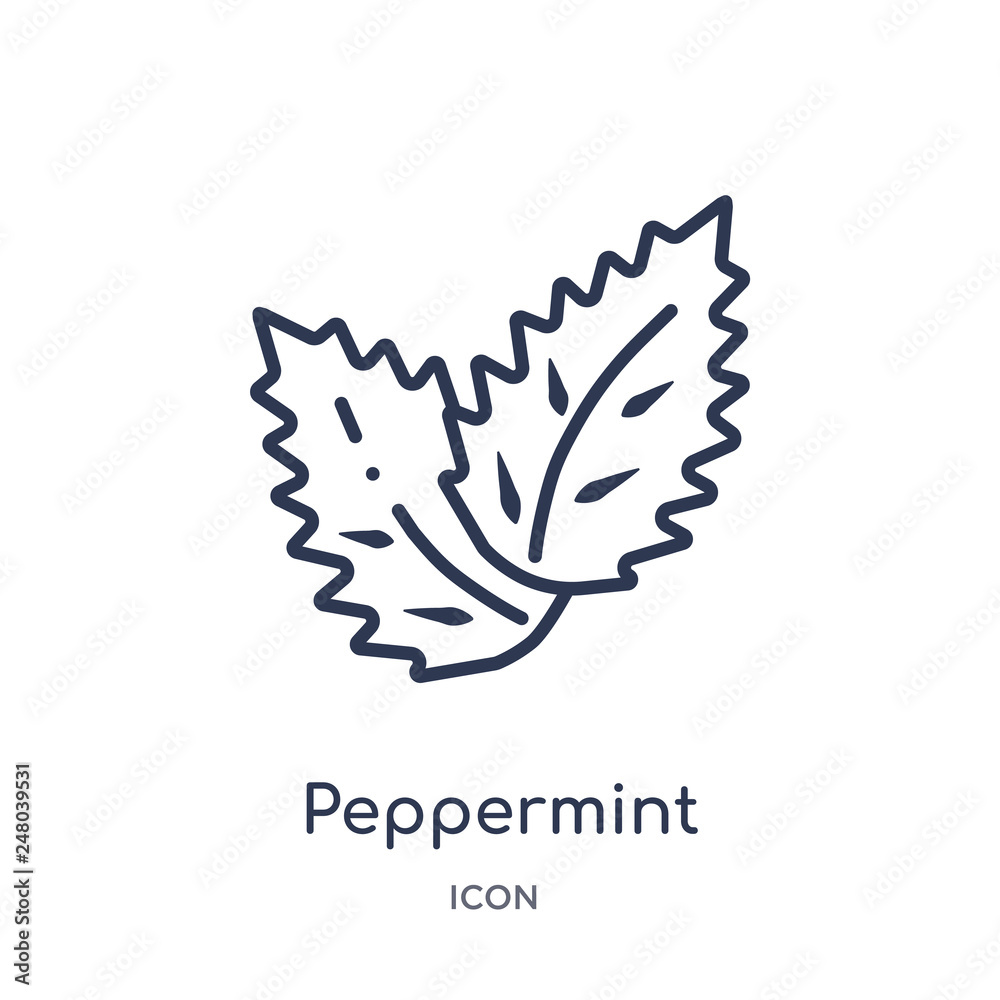 Peppermint Outline