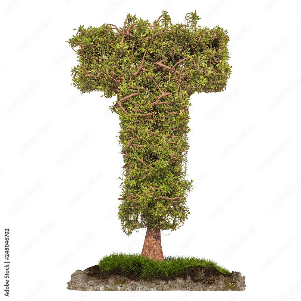 Tree letter T. Tree in shaped of letter T, 3D rendering Stock ...