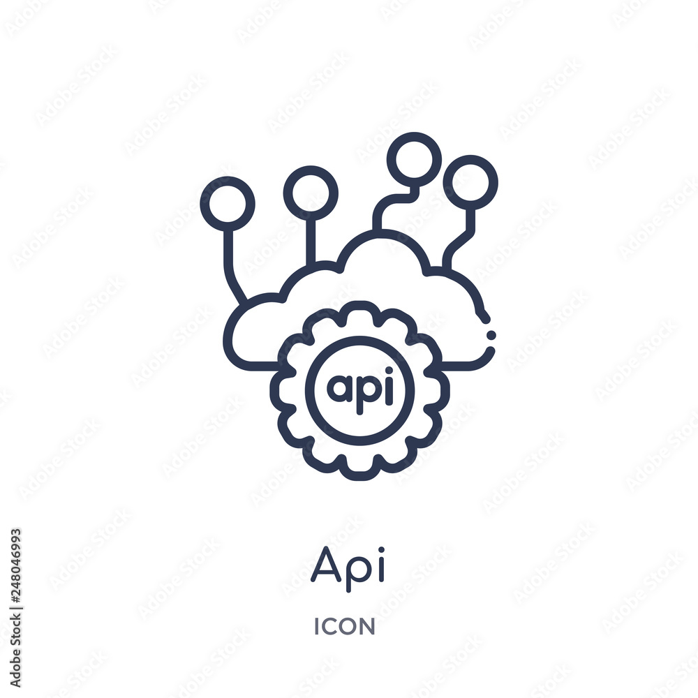api icon from programming outline collection. Thin line api icon isolated on white background ...