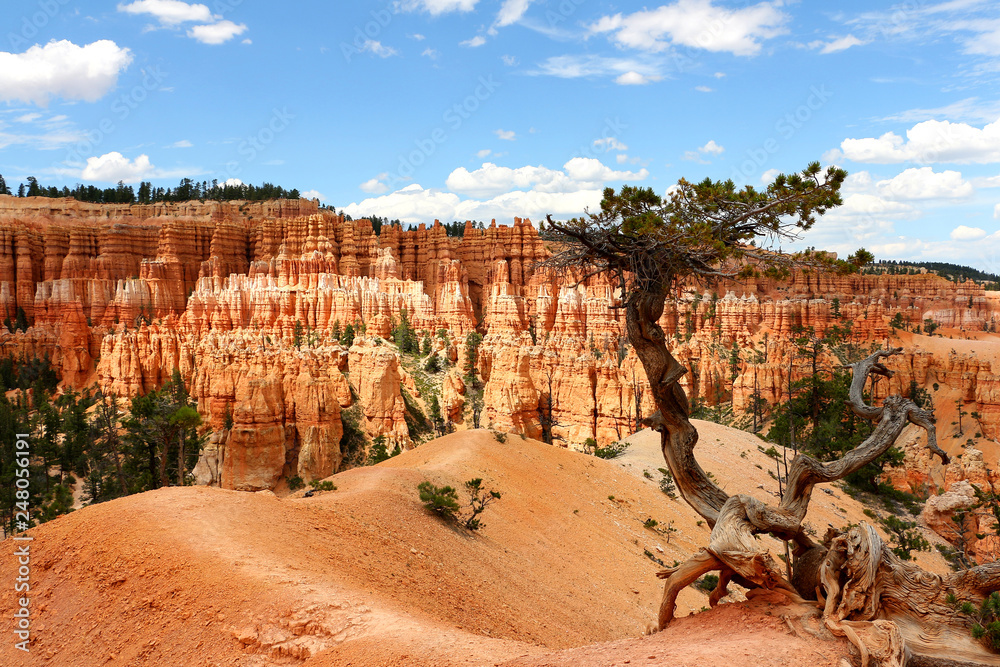 Bryce Canyon National Park is a United States National Park in Utah's ...