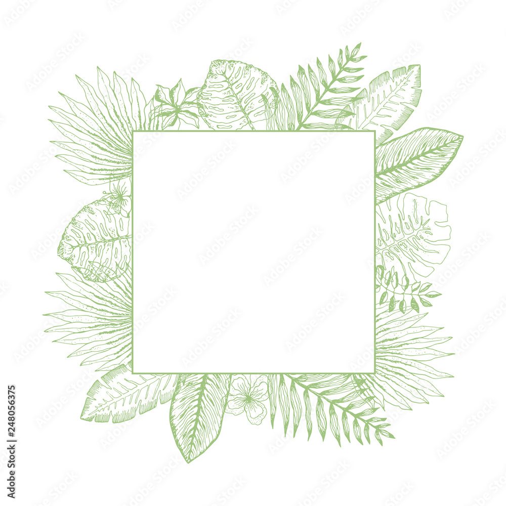 Green Square Outline