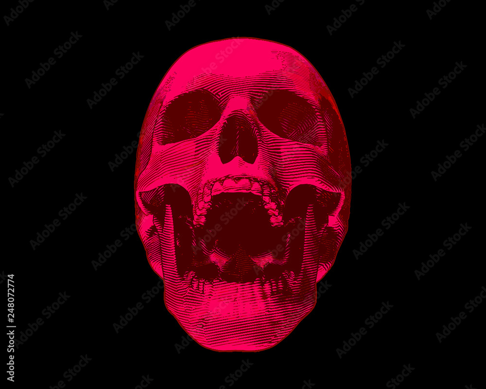 Screaming Skull