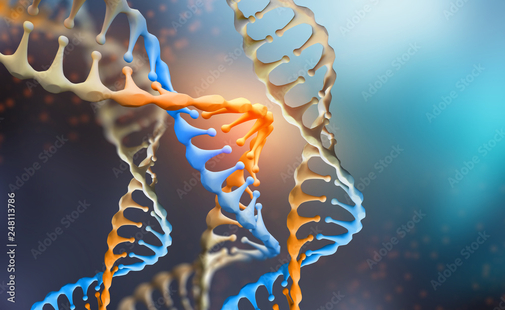 DNA genome research. DNA molecule structure. 3D double helix ...