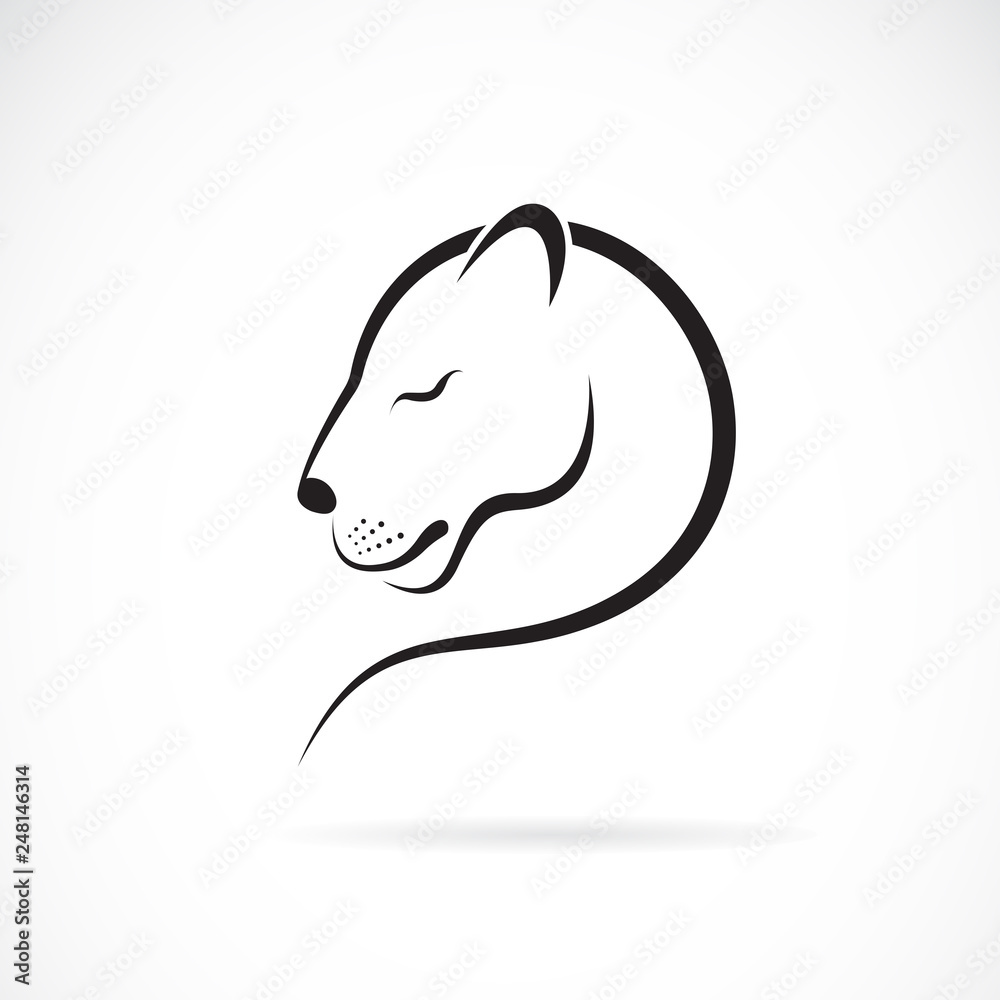 Vector of female lion design on white background. Wild Animals. Female ...