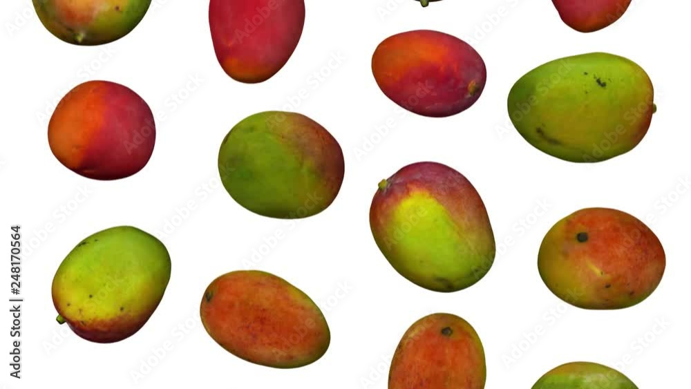 Realistic render of falling sindhoora mangoes on white background. The ...