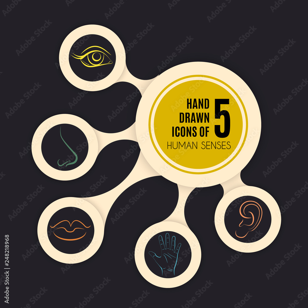 Hand drawn illustration of human senses made in line vector style ...