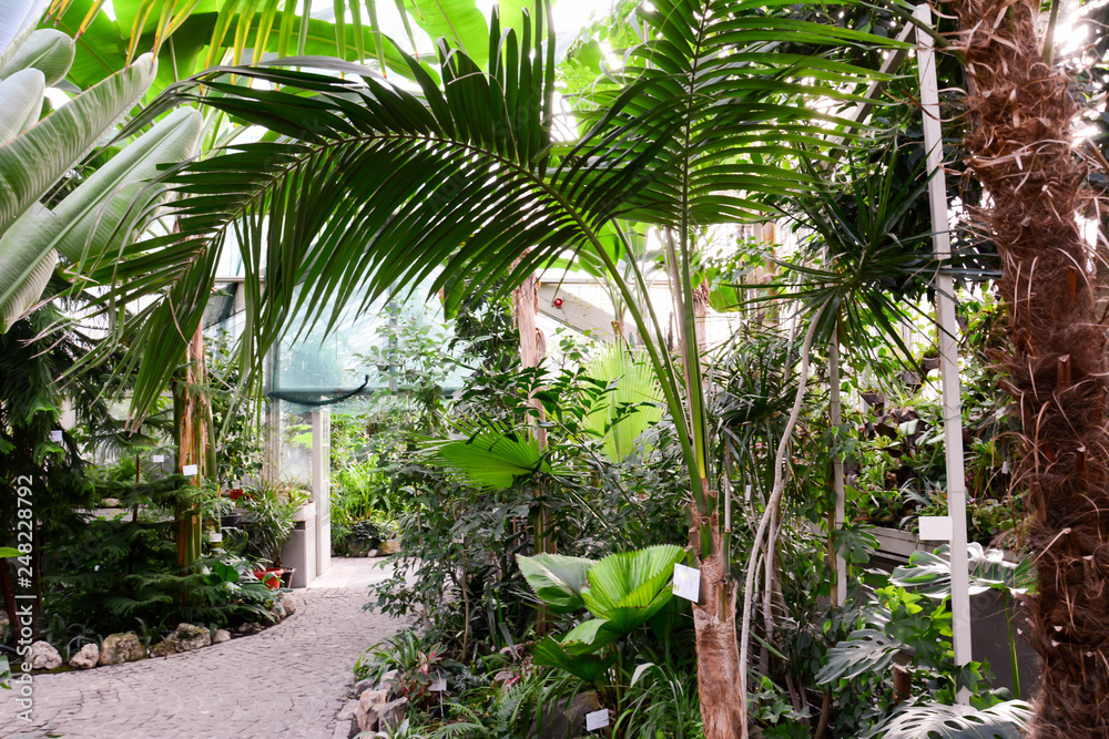 Humid Subtropical Plants