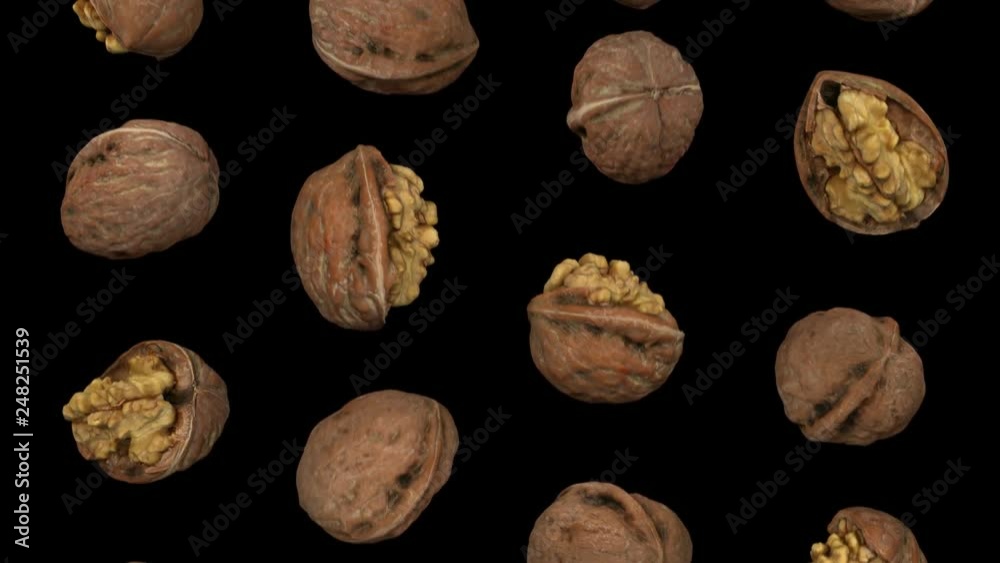 Realistic render of falling walnuts on black background. The video is ...