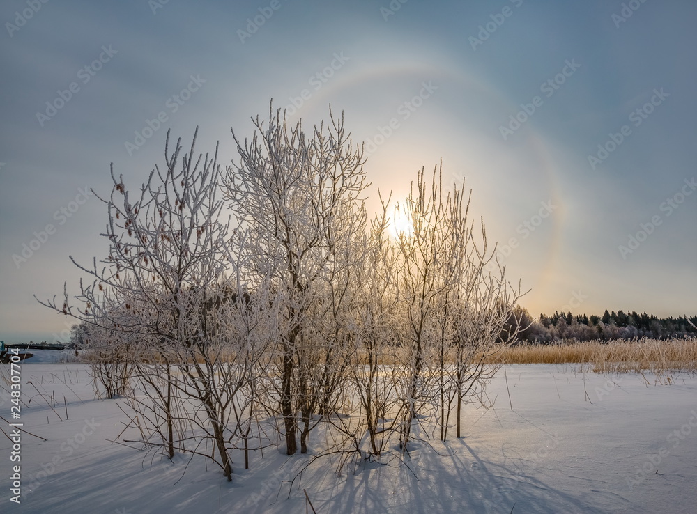 Solar halo. Frosty day, heavenly rainbow. Winter phenomenon. Stock ...