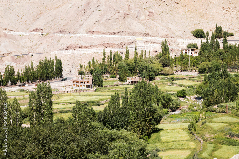 View from top of Basgo Gompa (Maitreya Temples) The mud-brick fortress ...