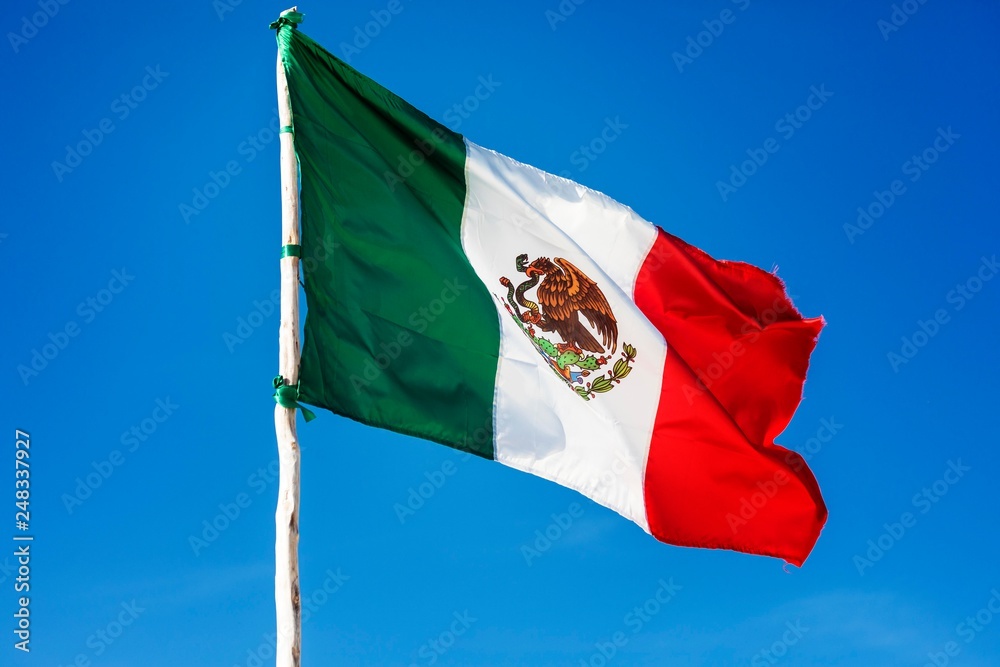 Mexico National Flag