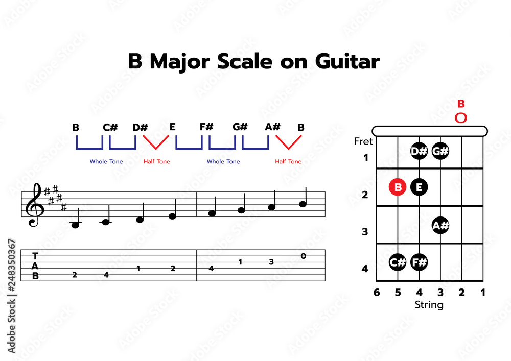 B Major Scale Guitar