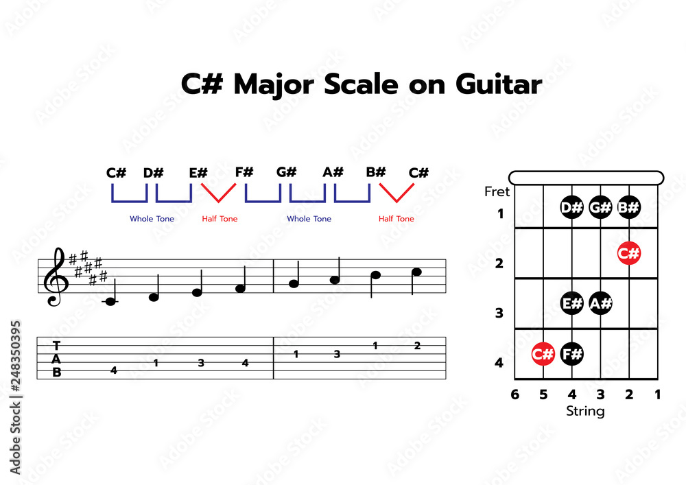 One-octave C# major scale on Guitar with note & TAB ilustración de ...