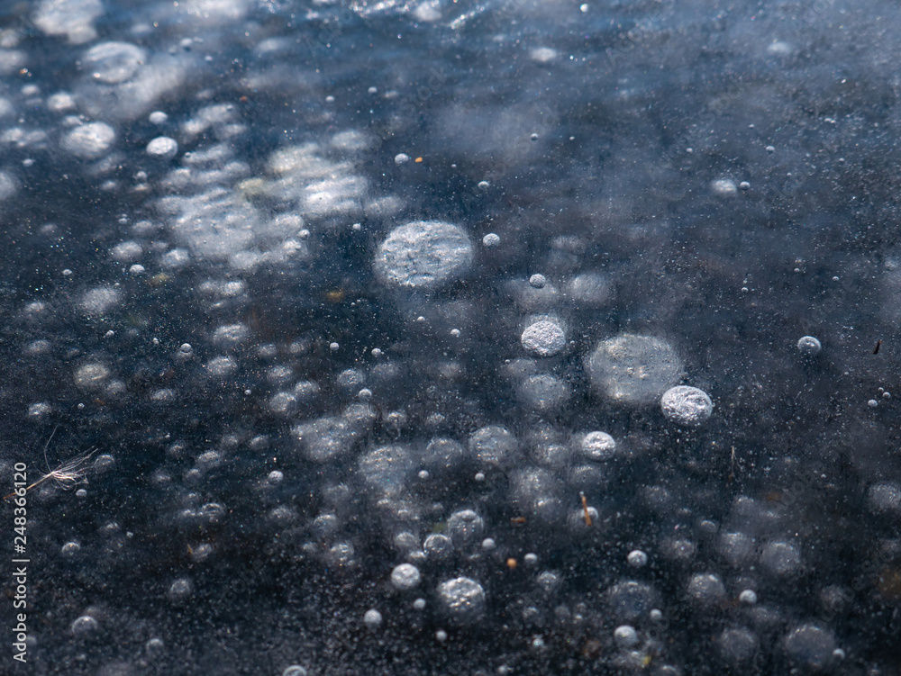 Methane gas bubbles trapped in ice at lake Stock Photo | Adobe Stock