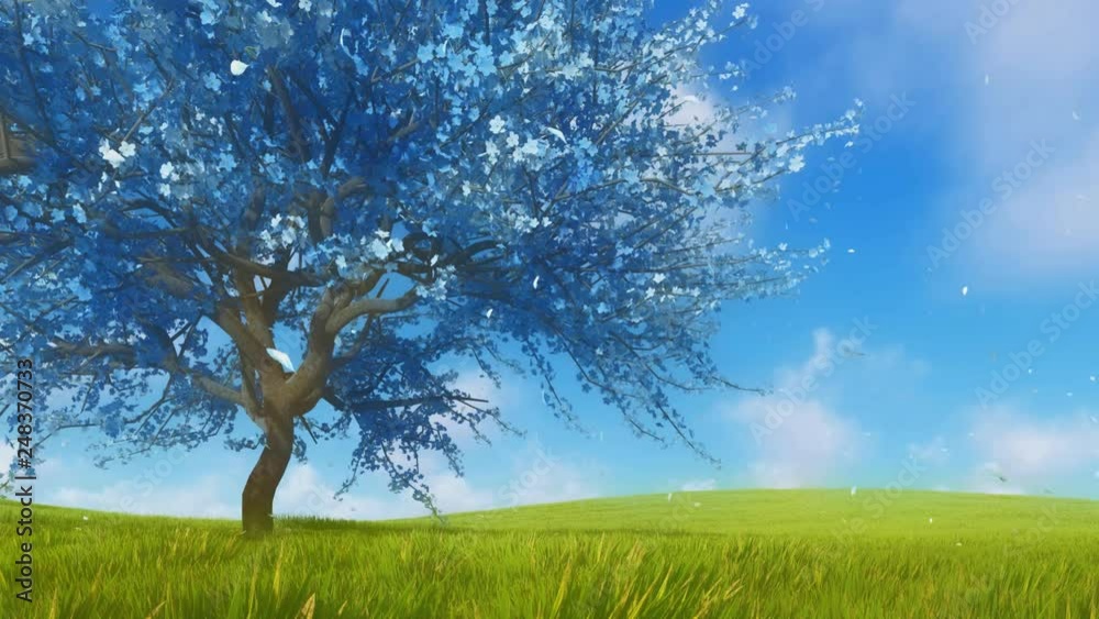 Surreal spring scenery with unrealistic blue sakura cherry tree in full ...