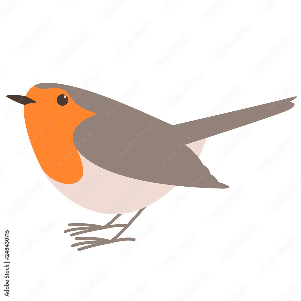 robin bird,vector illustration ,flat style, profile Stock Vector ...