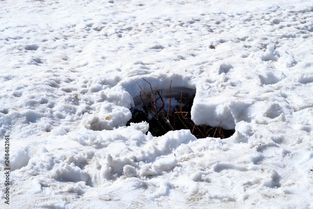 Snow hole, trace of animal on heavy snow layer. Stock Photo | Adobe Stock