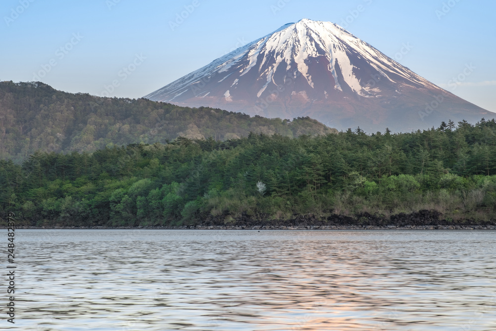 Mountain fuji view , mt.fuji background lake Saiko one of the fuji five ...