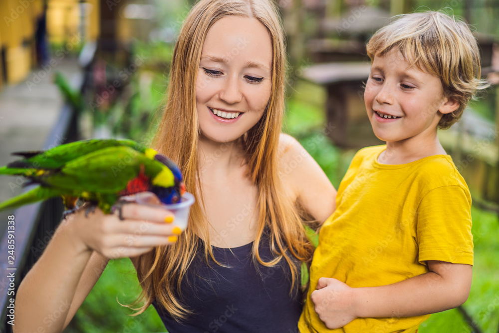 Mom and son feed the parrot in the park. Spending time with kids ...