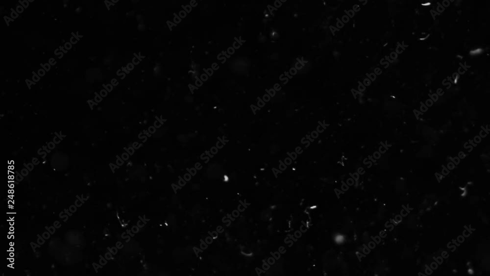 Vidéo Stock Floating organic real Dust on black background footage for ...