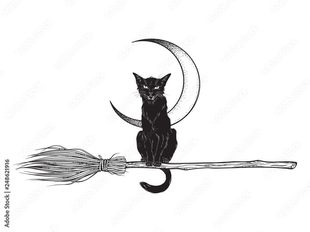 Black cat rides the broom magic vehicle of the witch hand drawn ink ...