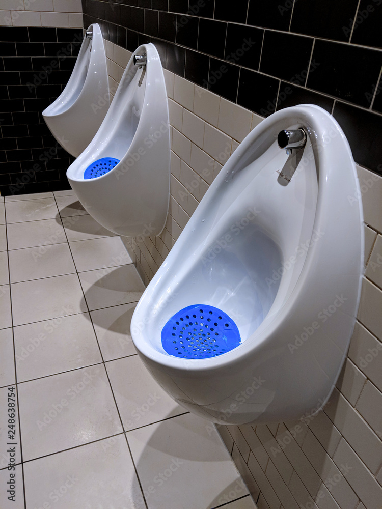 Row of shiny urinals with blue urinal screens in the gentlemen's ...