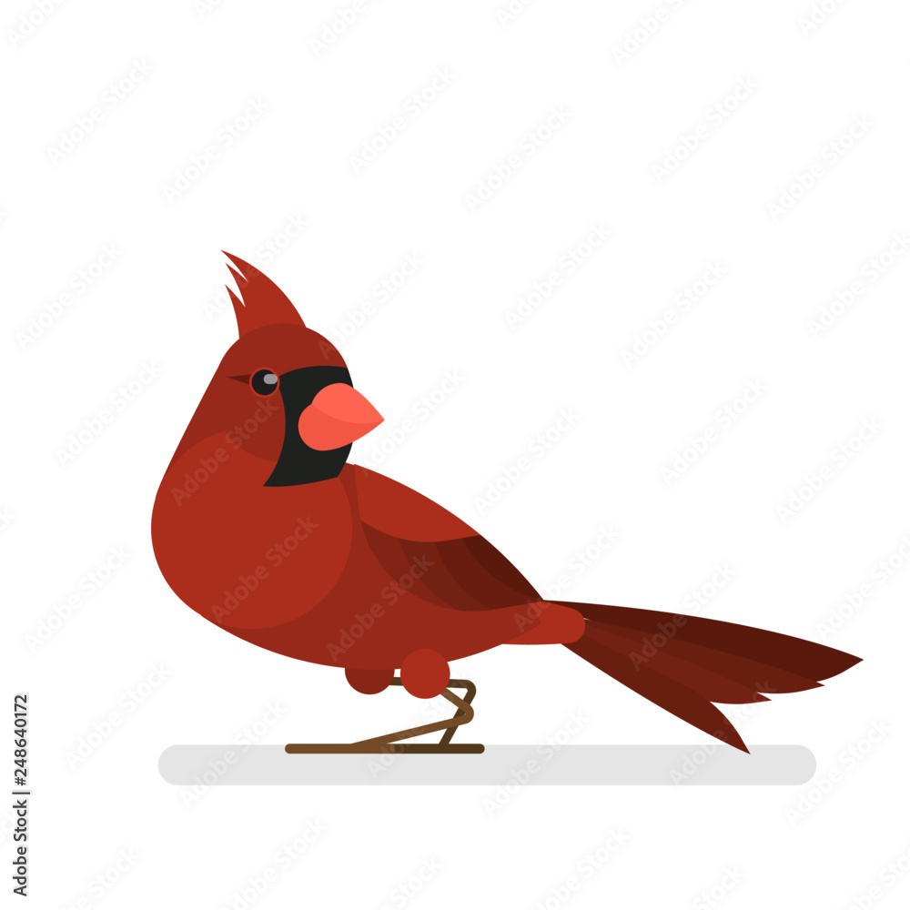Cardinal bird Stock Vector | Adobe Stock