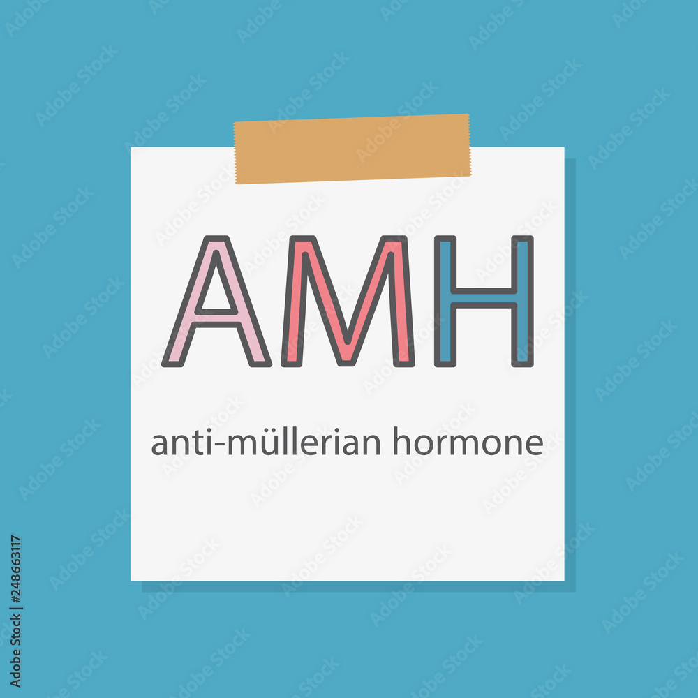 AMH Anti-Müllerian hormone written on a notebook paper- vector ...