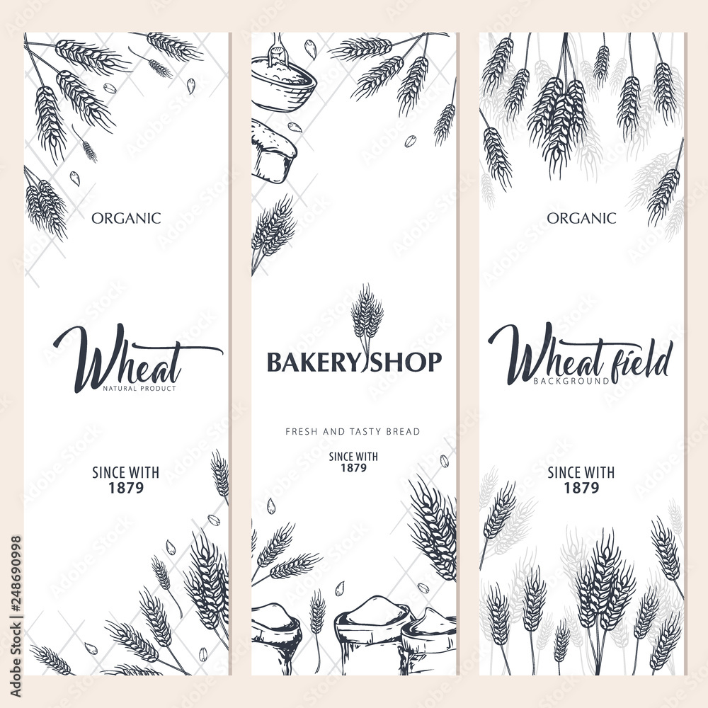 Set of Bakery backgrounds with wheats. Linear graphic. Bread banner ...