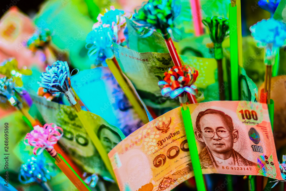 Variety of Thai bill on a money tree in Kathin Annual Ceremony after ...