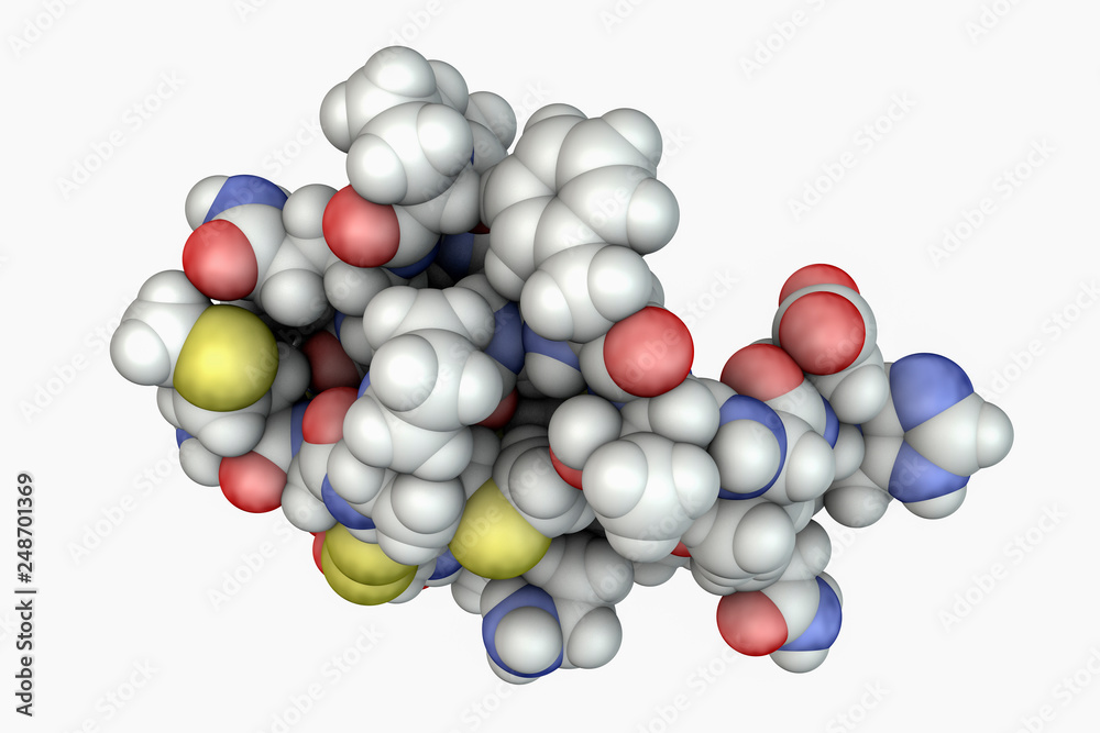 Molecule of scorpion chlorotoxin, 3D illustration. A peptide from venom ...