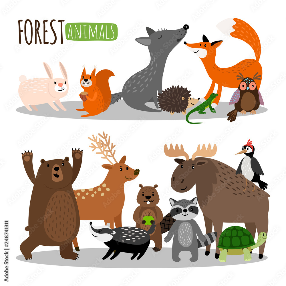 Cute forest animals vector collection isolated on white background ...