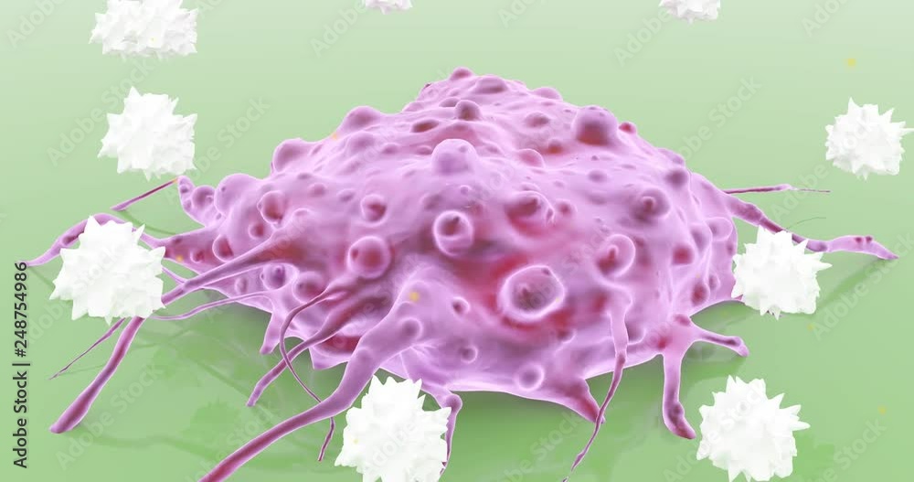 Dendritic cell killing cancer cell immune cell killing virus dendritic ...