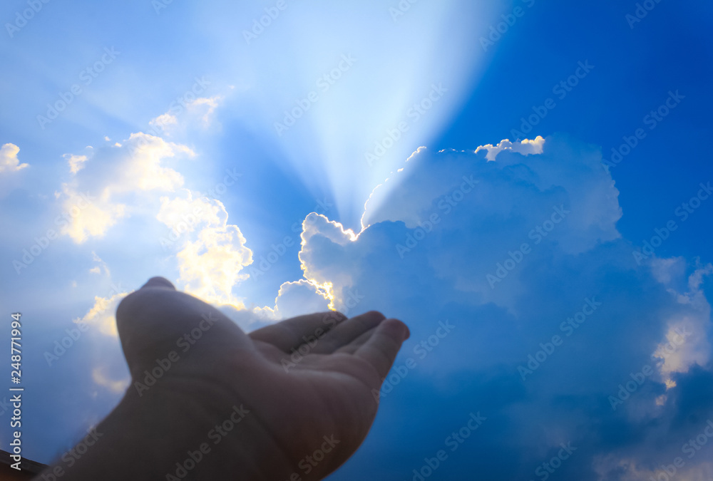 Hands Reaching For The Sky